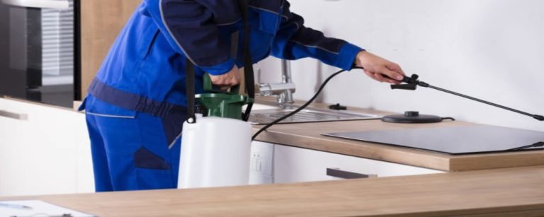 The Battle Against Pests Innovative Solutions for Pest Control ...